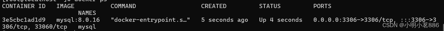 Docker下安装并启动mysql8容器状态为exited1 Seconds Agoexited 1 11 Seconds