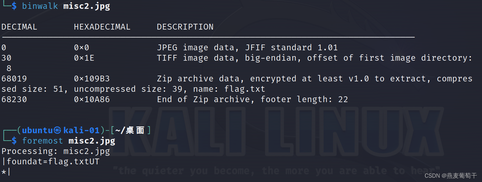 CTF-MISC：BUUCTF练习汇总（1-25题，不包括签到题）-CSDN博客