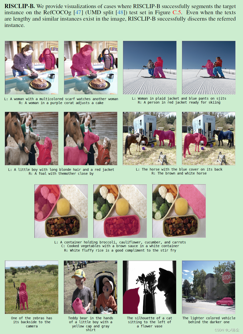 RIS 系列 RISCLIP: Referring Image Segmentation Framework using CLIP 论文阅读笔记_ris clip-CSDN博客