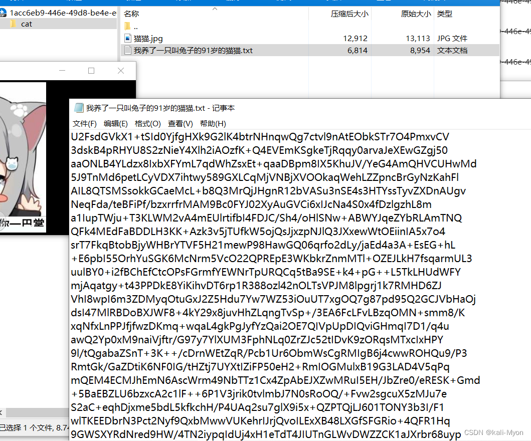 CATCTF_Misc_just cat flag or type flag-CSDN博客