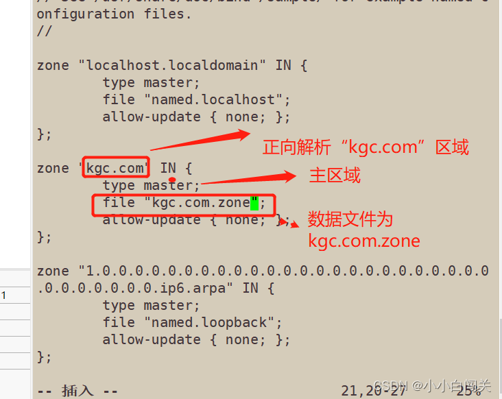 Linux DNS域名解析服务_named.rfc1912.zones-CSDN博客
