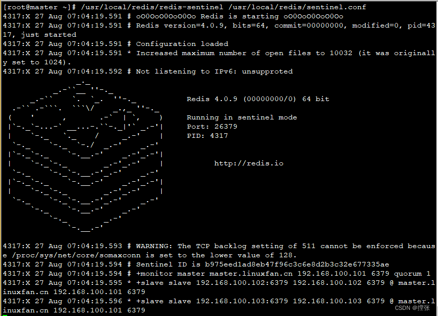 Redis sentinel哨兵集群_redissentinel集群-CSDN博客