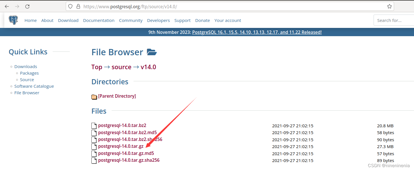 PostgreSQL向量数据插件--pgvector安装（附PostgreSQL安装）-CSDN博客