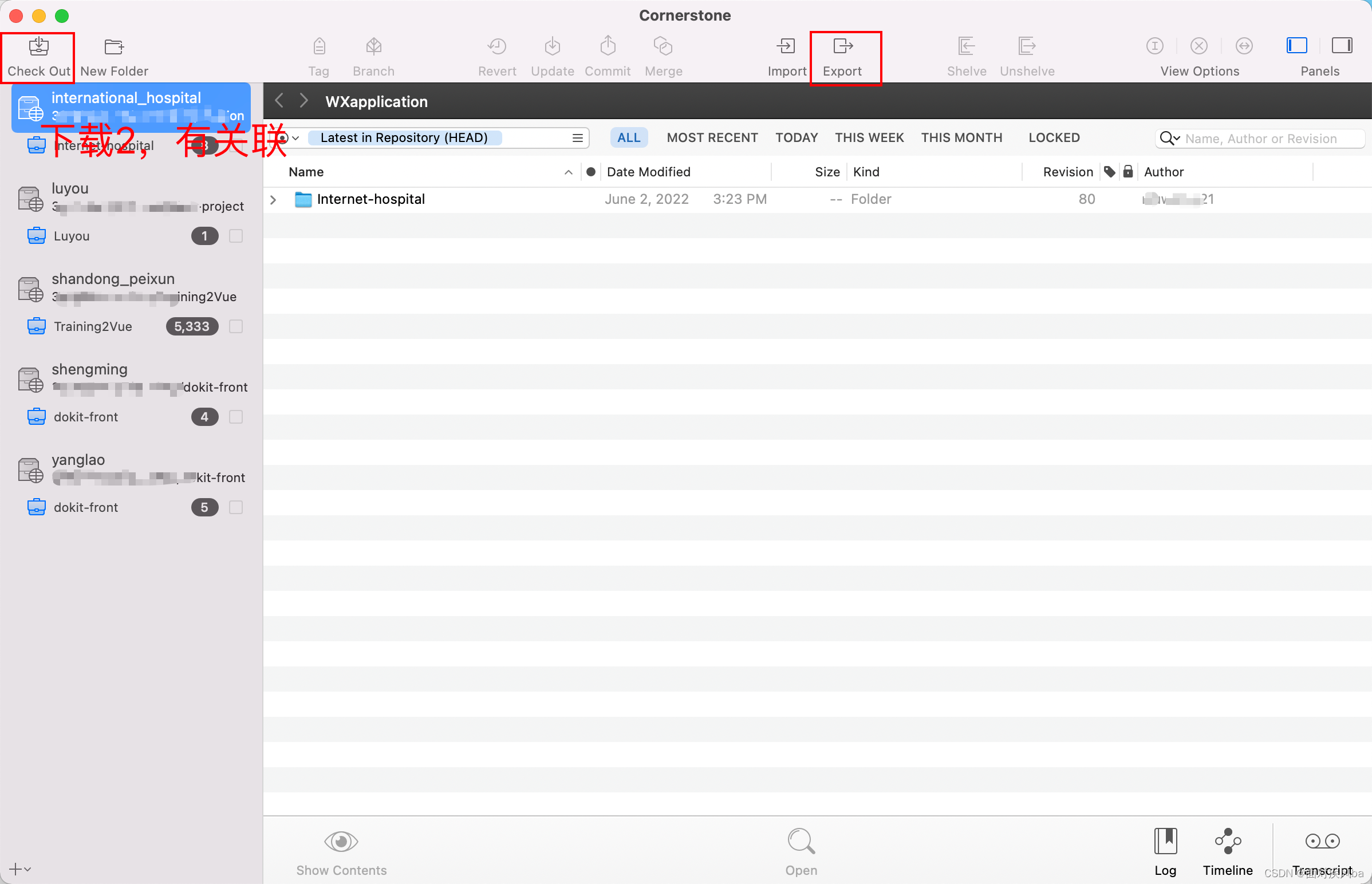 Mac使用cornerstone的操作使用和问题记录及不同图标的含义，持续更新..._mac cornerstone-CSDN博客