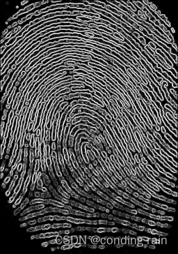 python指纹识别算法（亲测代码可用）_python fingerprint-CSDN博客