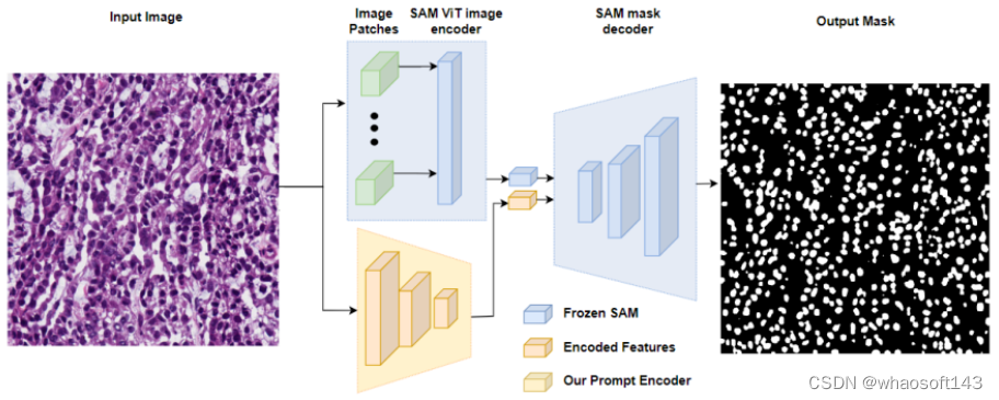 视觉大模型~~_clipseg-CSDN博客
