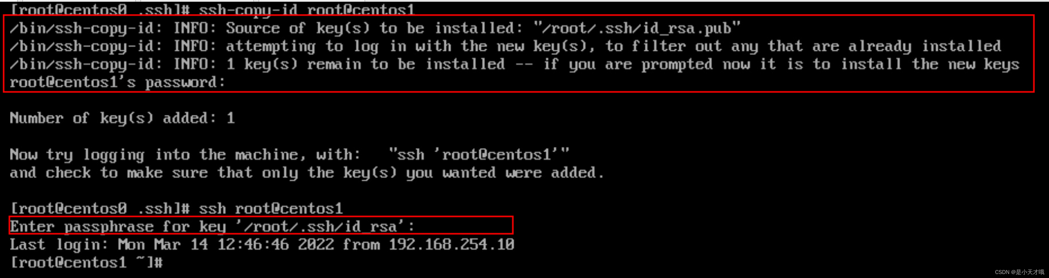 百战RHCE（第十六战：Linux进阶命令十三-SSH远程登陆极简管理）_ssh-agent -s-CSDN博客