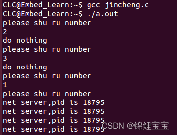 Linux进程之API（上）（fork、vfork、wait、waitpid）_fork api-CSDN博客