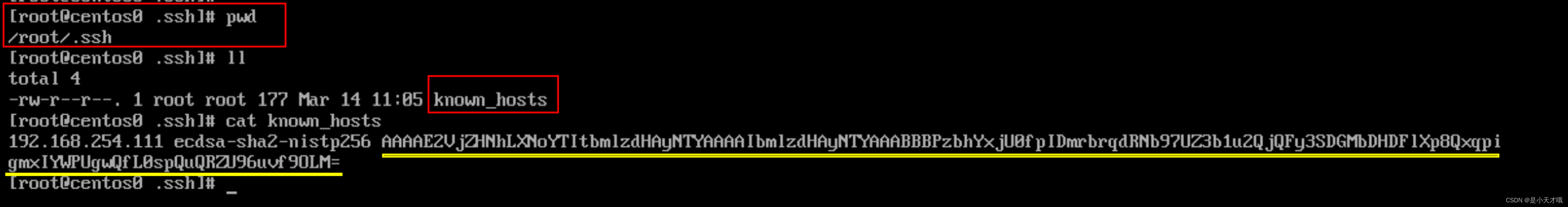 百战RHCE（第十六战：Linux进阶命令十三-SSH远程登陆极简管理）_ssh-agent -s-CSDN博客