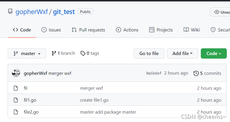 Git版本控制及Goland使用Git教程_goland配置git-CSDN博客