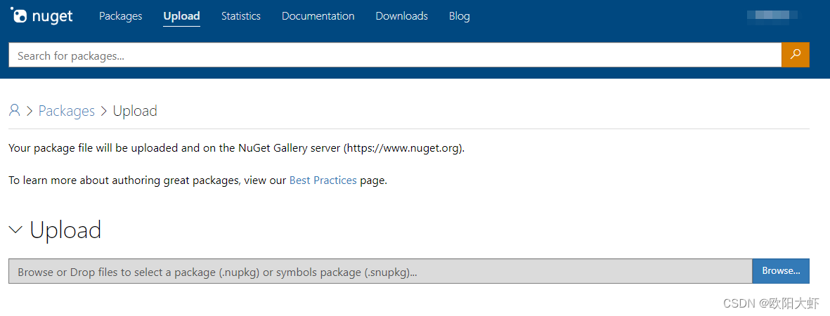 nuget 的生成、发布、使用和更新_nupkg文件怎么打开-CSDN博客