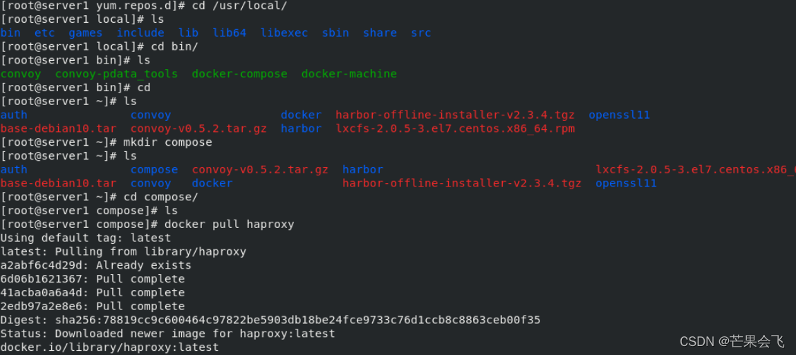 Docker---三剑客之二：docker-compose_docker-compose 用的是python 还是python3-CSDN博客