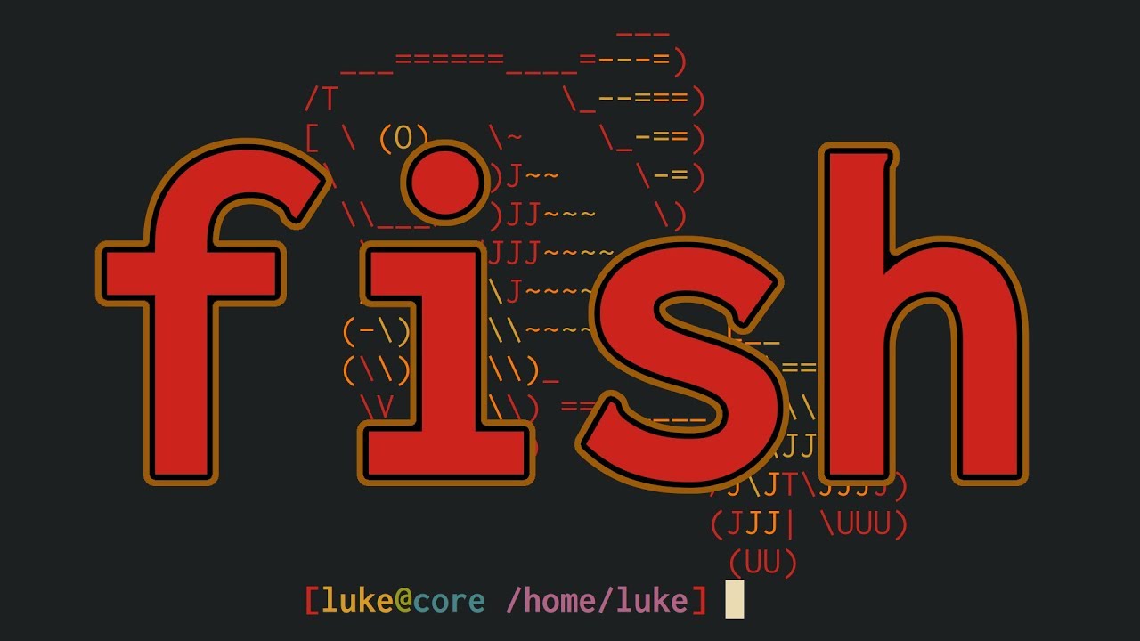 如何在 Linux 中安装、配置和使用 Fish Shell？_apt-get 安装fishshell-CSDN博客