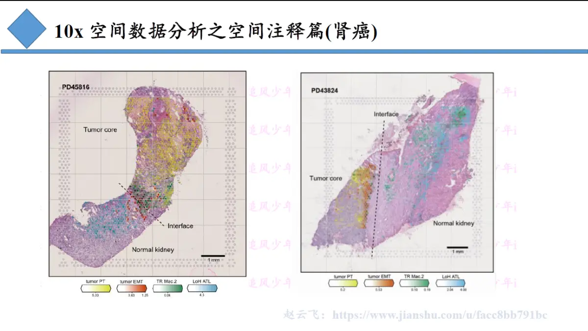 空转课程补充分析之空间注释_空转 注释-CSDN博客
