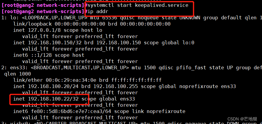 HAproxy+keepalived+nginx 实验部署_haproxy keepalived nginx-CSDN博客