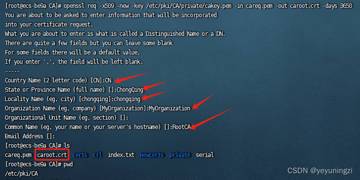 Centos7 使用openssl 配置证书服务器并颁发证书(史上最详细版本)centos Openssl Csdn博客