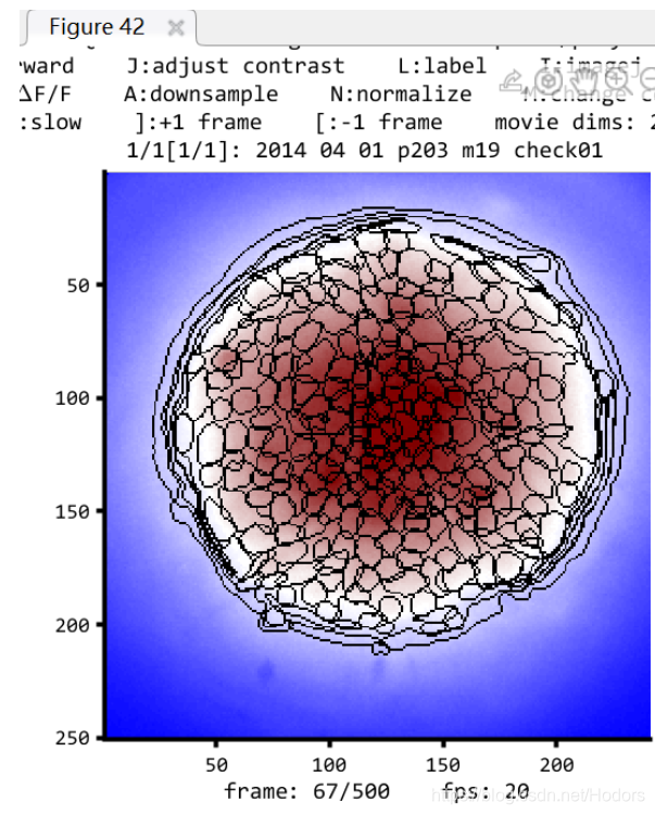 神经生物学必掌握的技能之一：Calcium Imaging Analysis（package）如何使用Calcium Imaging ...