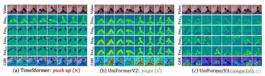 UniFormerV2-CSDN博客