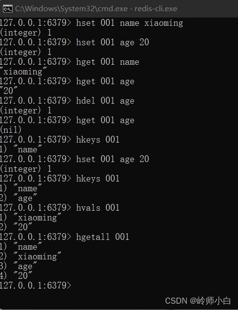 Redis详细介绍及在java中的应用java中resdis组件使用 Csdn博客