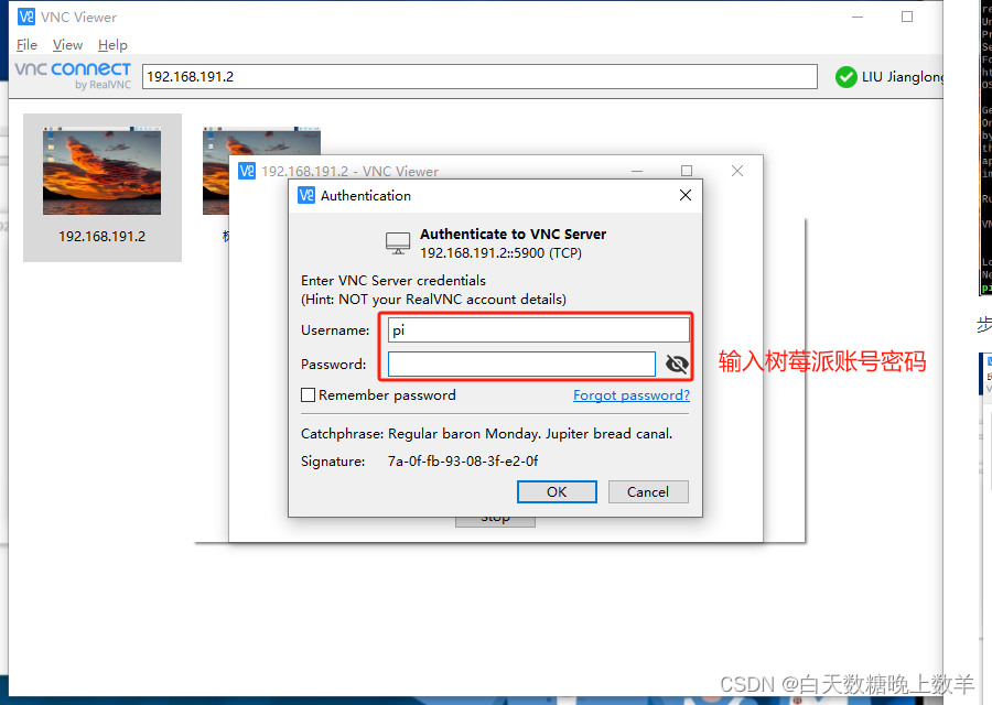 二、远程控制树莓派（在用一个Wifi下）_realvnc vnc viewer 命令行-CSDN博客