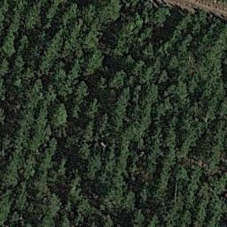 python_CNN深度学习的遥感图片识别沙漠湖泊和森林-含数据集+pyqt界面_deep learning-based terrain ...