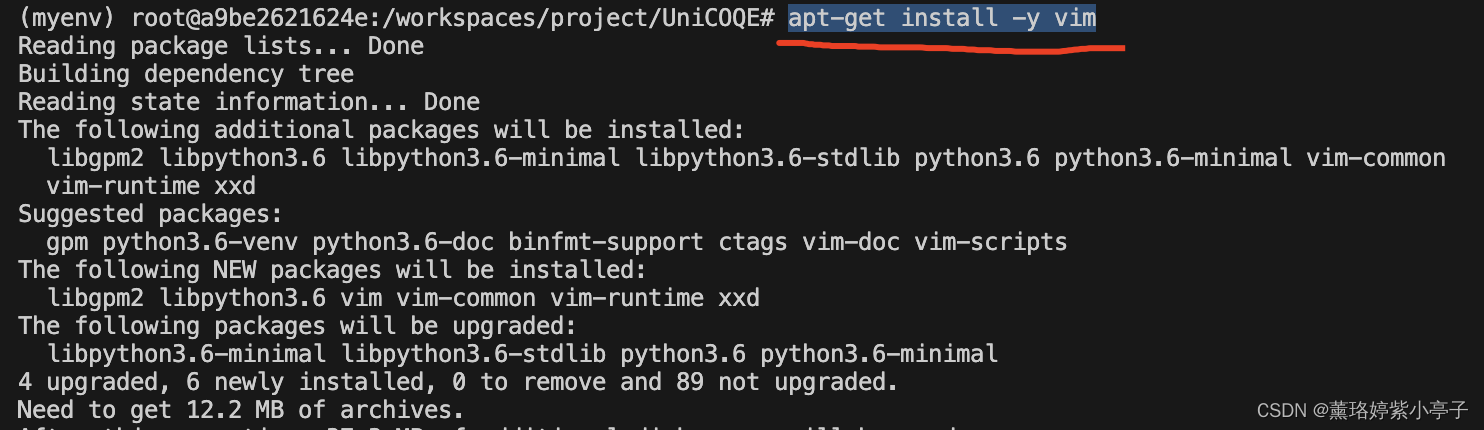 如何解决docker中出现的“bash: vim: command not found”_docker bash: vim: command not found-CSDN博客