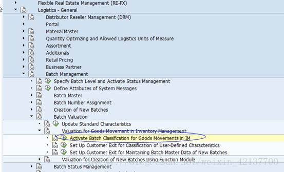 SAP Batch Management 批次主数据中classification视图中GR Date没有被更新？_sap batch class-CSDN博客