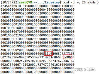 网络攻防技术-Lab5-shellcode编写实验(SEED Labs – Shellcode Development Lab)_网络攻防技术 shellcode-CSDN博客