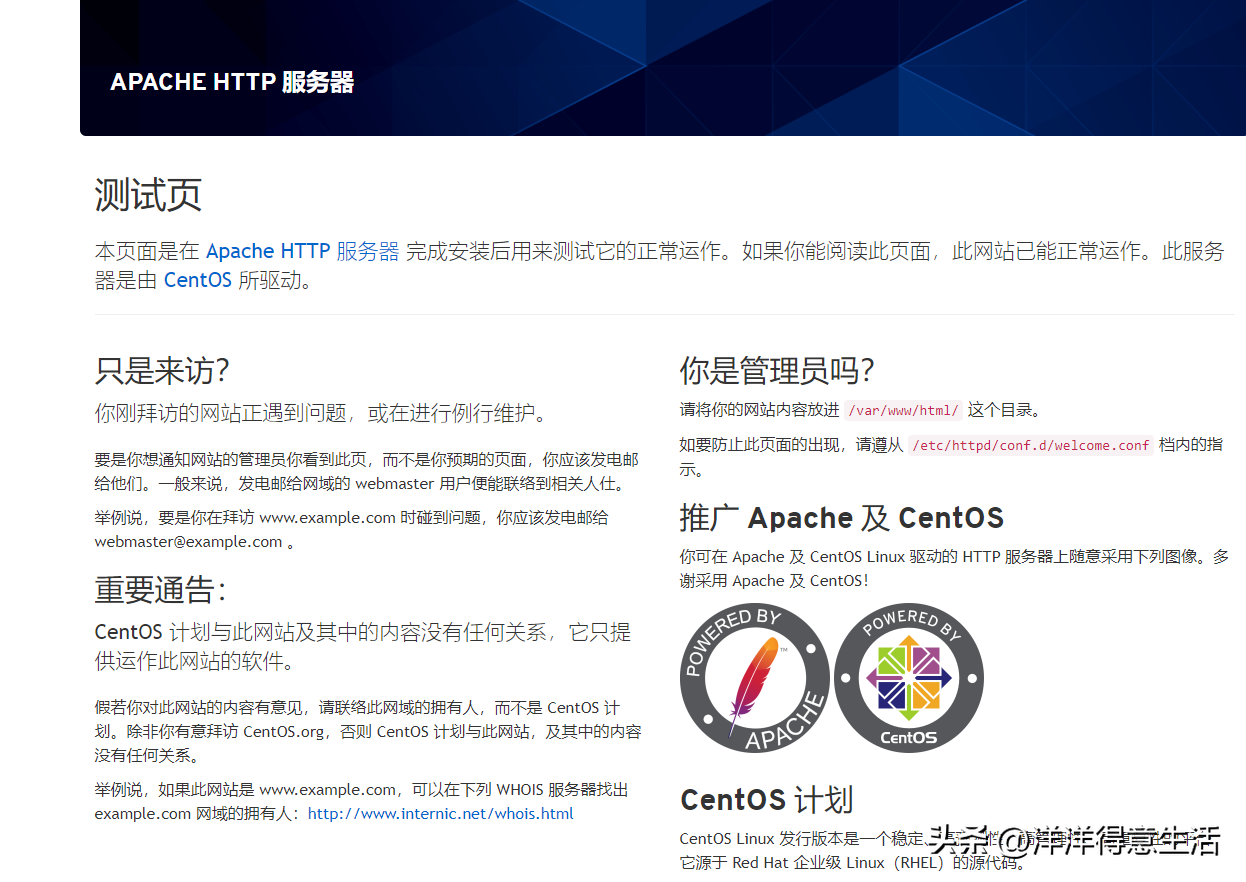 centos8 搭建WordPress详细步骤_centos8 wordpress-CSDN博客