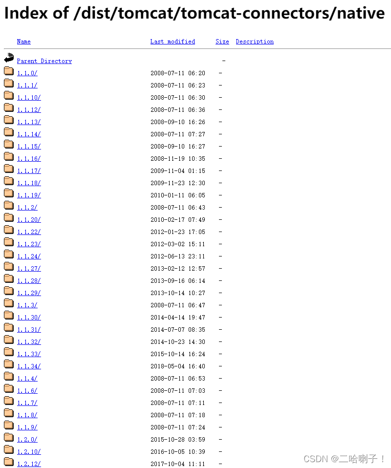 An incompatible version [1.2.23] of the Apache Tomcat Native library is installed-CSDN博客