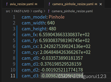 fast-livo运行及报错解决办法_query livox lidar fw type failed-CSDN博客