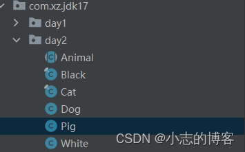 jdk17新特性—— 密封类(Sealed Classes)-CSDN博客