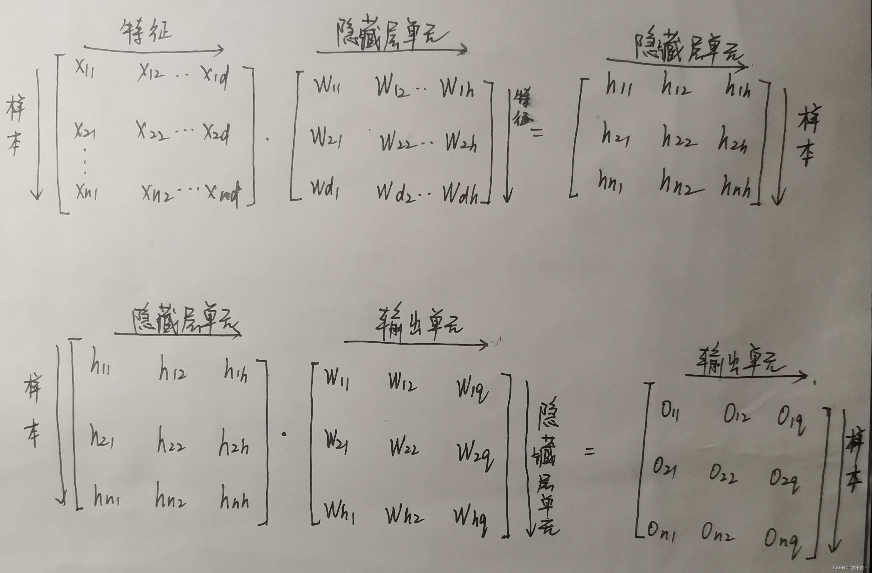 【深度学习2】基于Pytorch实现多层感知机（MLP）模型识别手写数字_pytorch mlp-CSDN博客