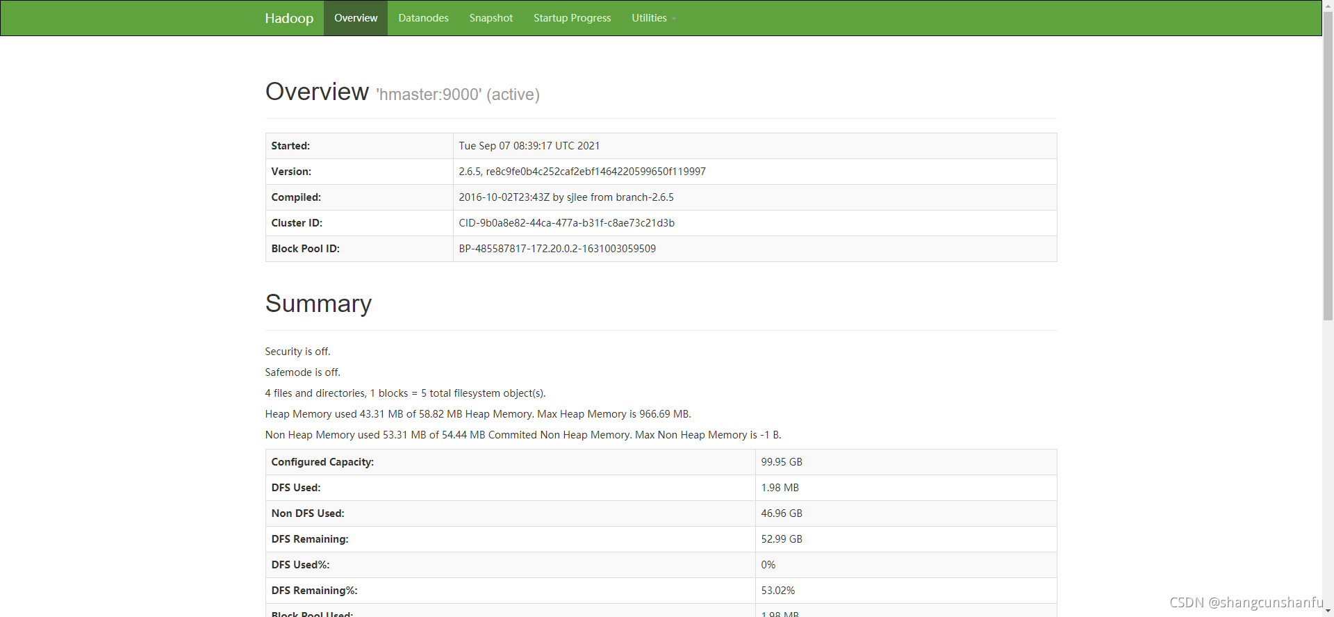 Docker搭建hadoop Hdfs完全分布式集群 Docker Hdfs Csdn博客