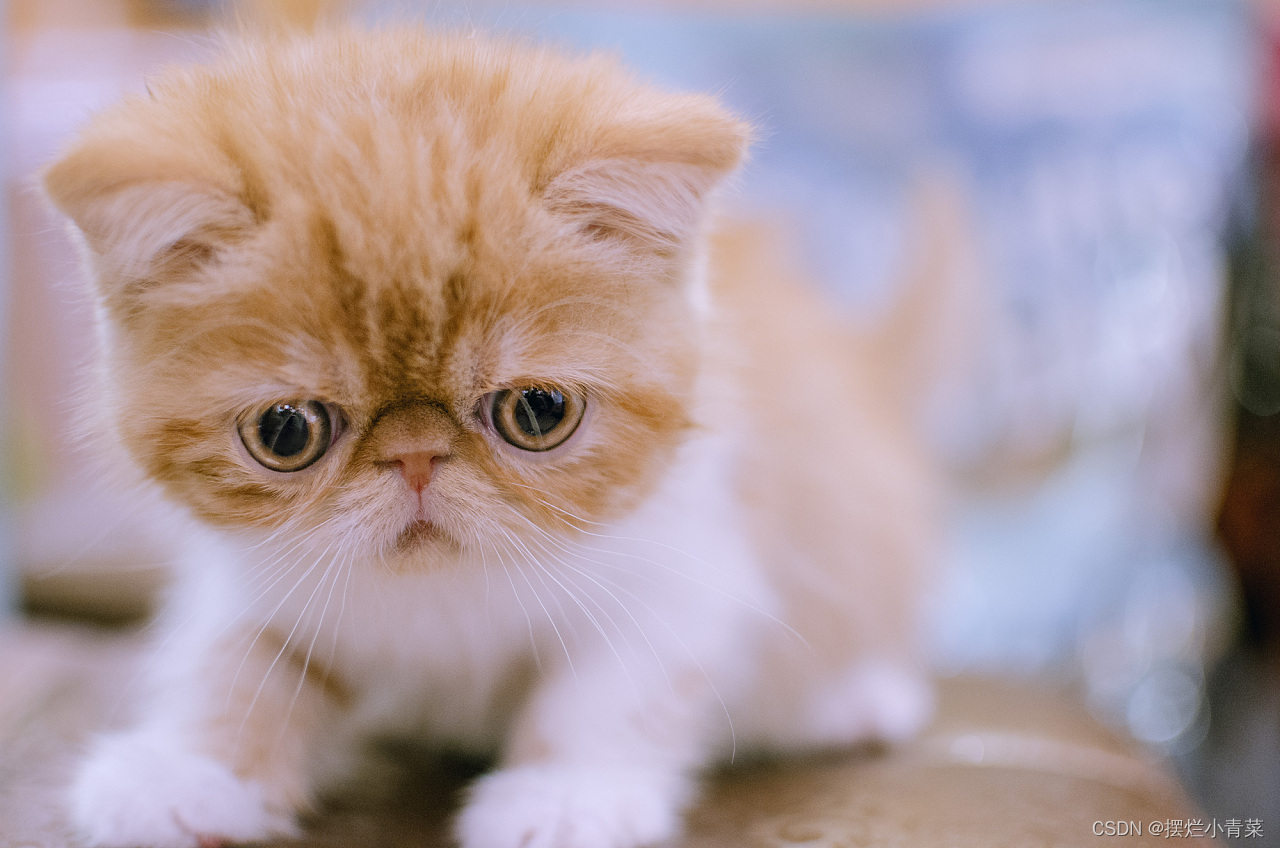 C++RAII内存管理技术_c++ rii技术-CSDN博客