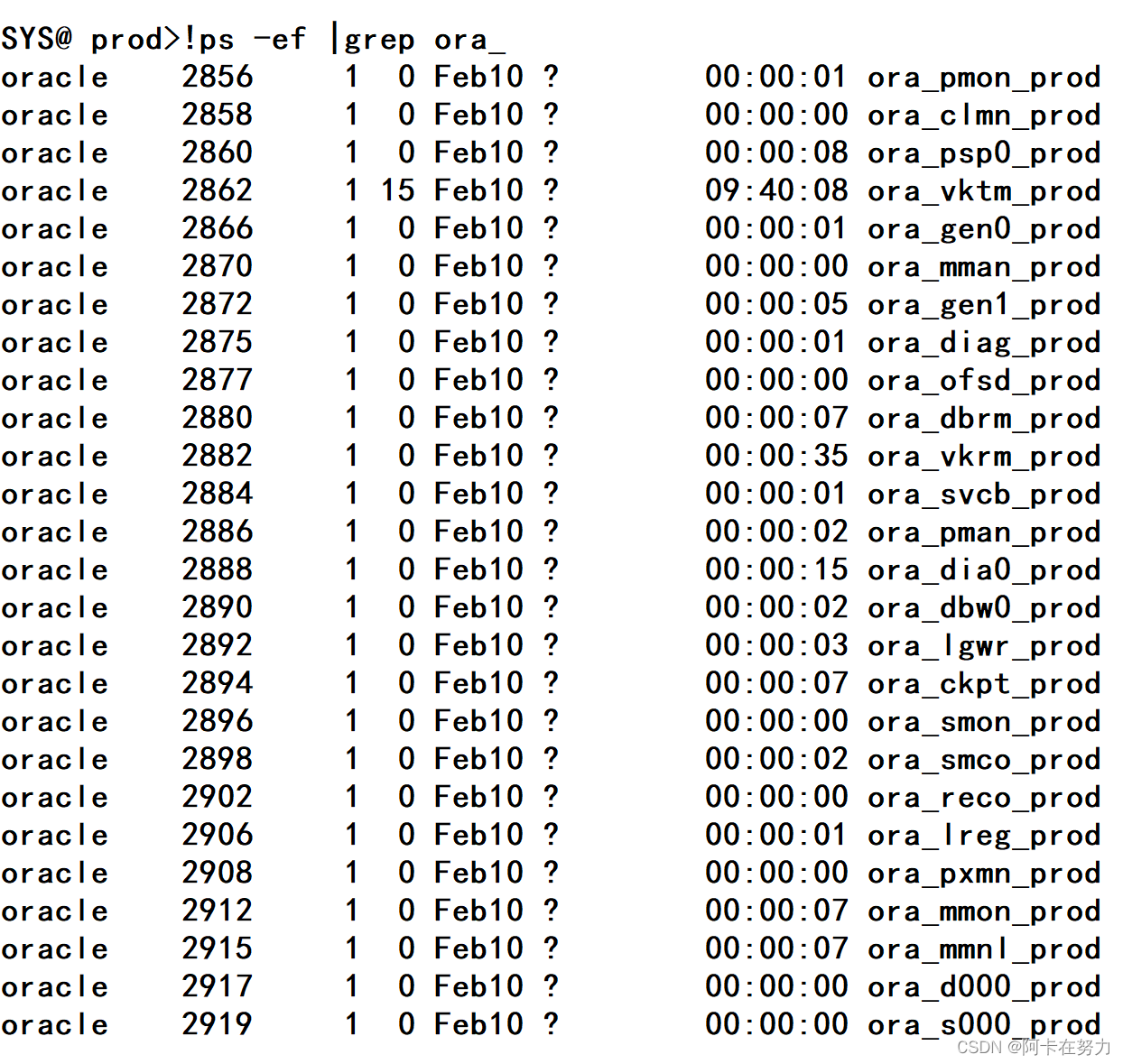 Oracle 19c体系架构 Overivew Of Primary Components 图表解析(二)pmon Background Process Csdn博客