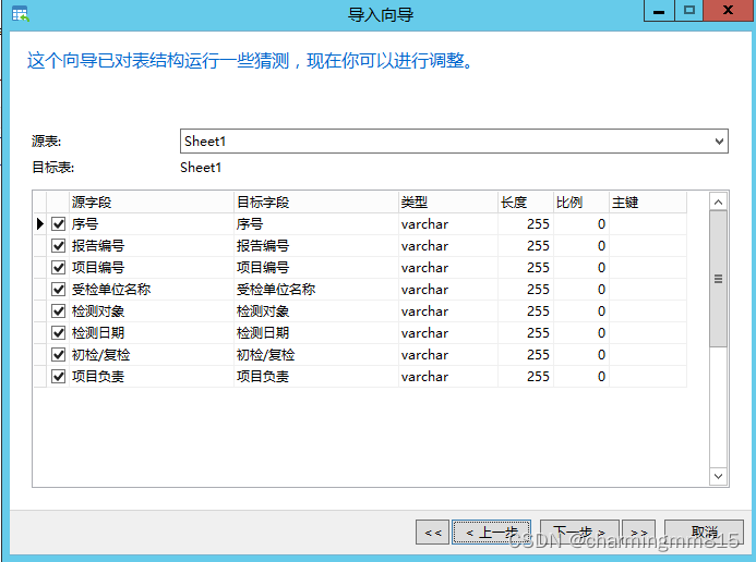 【注意字符集的设置】excel导入到sql数据库excel字符集设置 Csdn博客