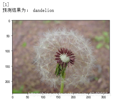 SVM+Sift+K-means实现图像分类（python）_sift+svm图像分类-CSDN博客