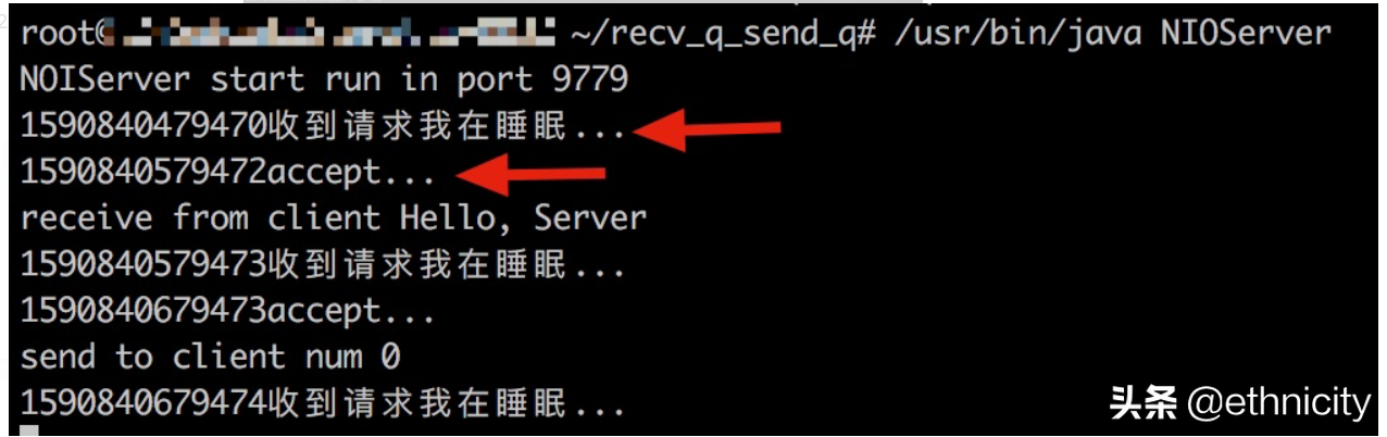 「TCP」Recv-Q和Send-Q-CSDN博客