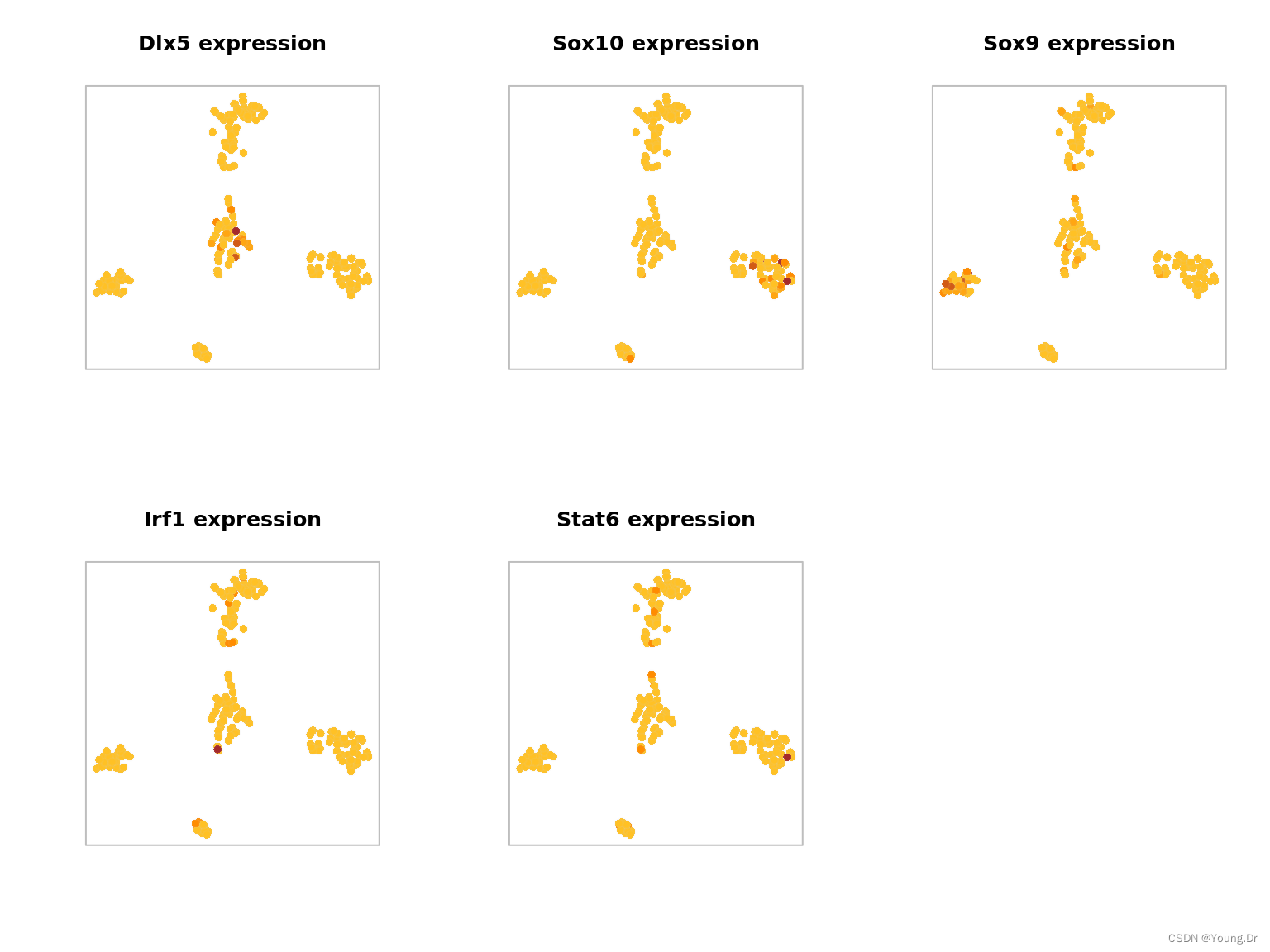 pyscenic r版本转录因子分析 r版本步骤详解-CSDN博客