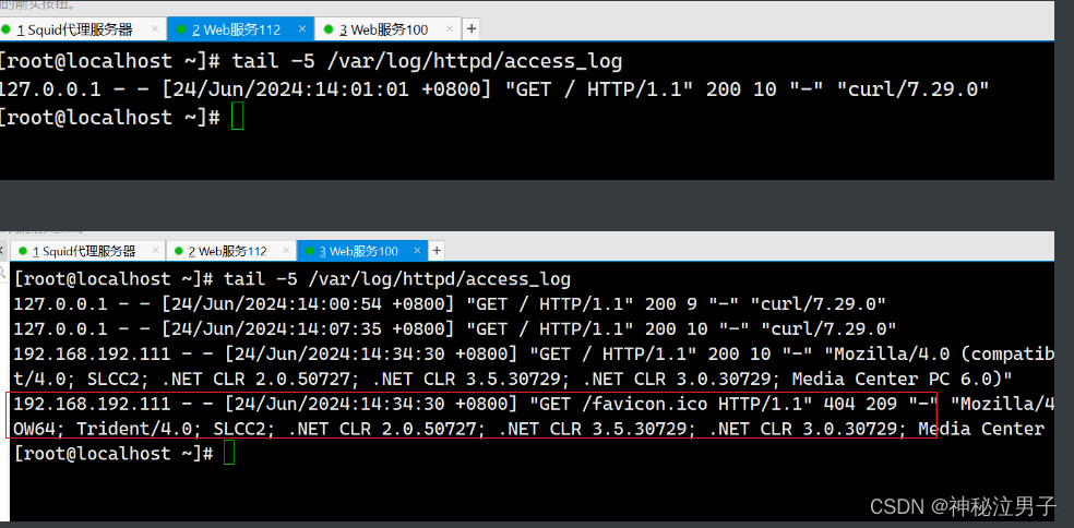Linux[高级管理]——Squid代理服务器的部署和应用(反向代理详解)_squid 反向代理-CSDN博客