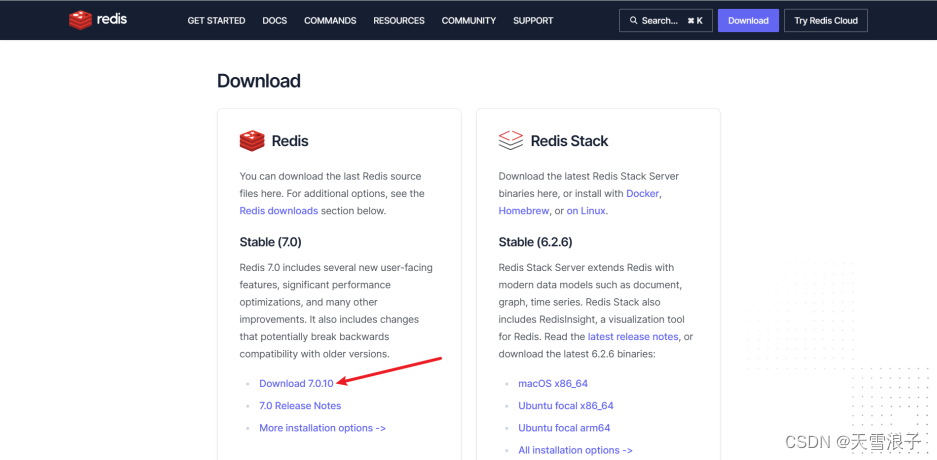 CentOS Stream 9编译安装Redis 7_warning memory overcommit must be enabled! without-CSDN博客