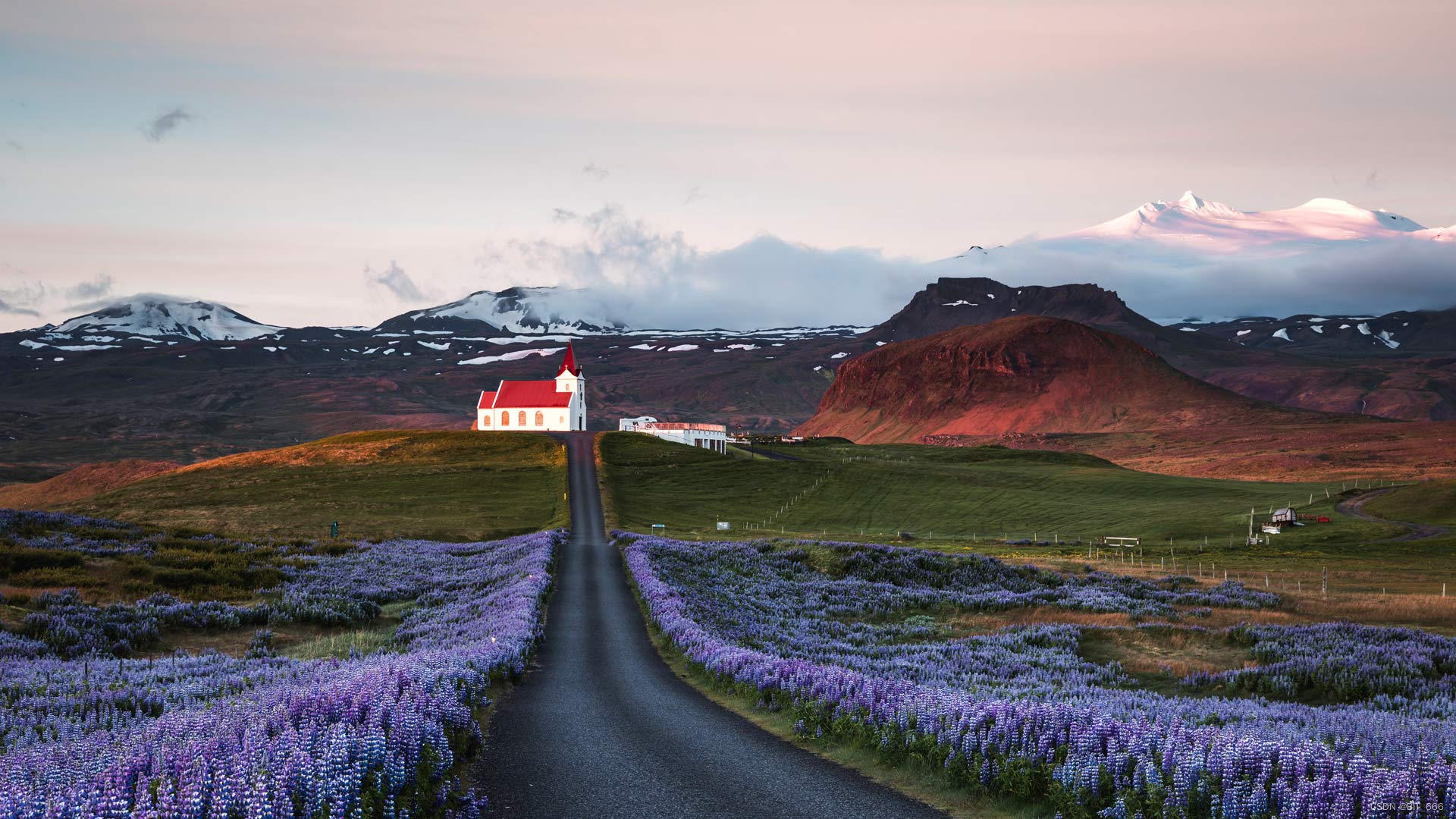 Go - 9.struct 使用指南_go struct-CSDN博客