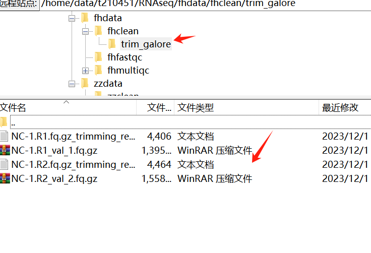 【一次性看懂 trim_galore软件的运行代码】_trim galore-CSDN博客