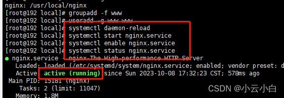 Rocky、OpenEuler安装nginx并设置开机自启_rocky安装nginx-CSDN博客