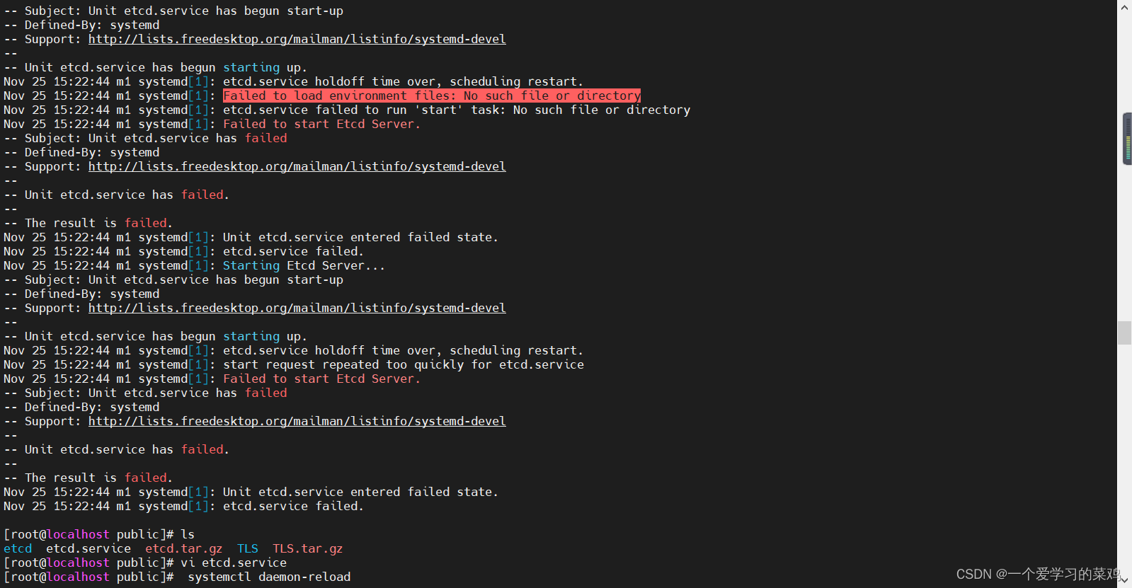 Etcd集群启动报错:conflicting Environment Variable “etcdname“ Is Shadowed By