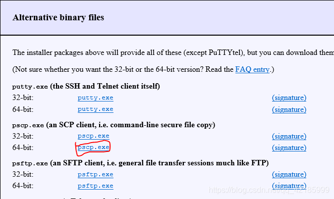 使用putty从windows向远程服务器传递文件_使用putty传文件-CSDN博客
