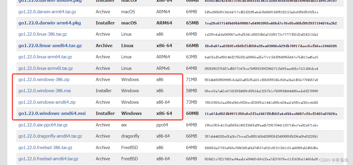 1.4 golang开始——开发环境搭建_go1.22.0.windows-amd64.msi-CSDN博客