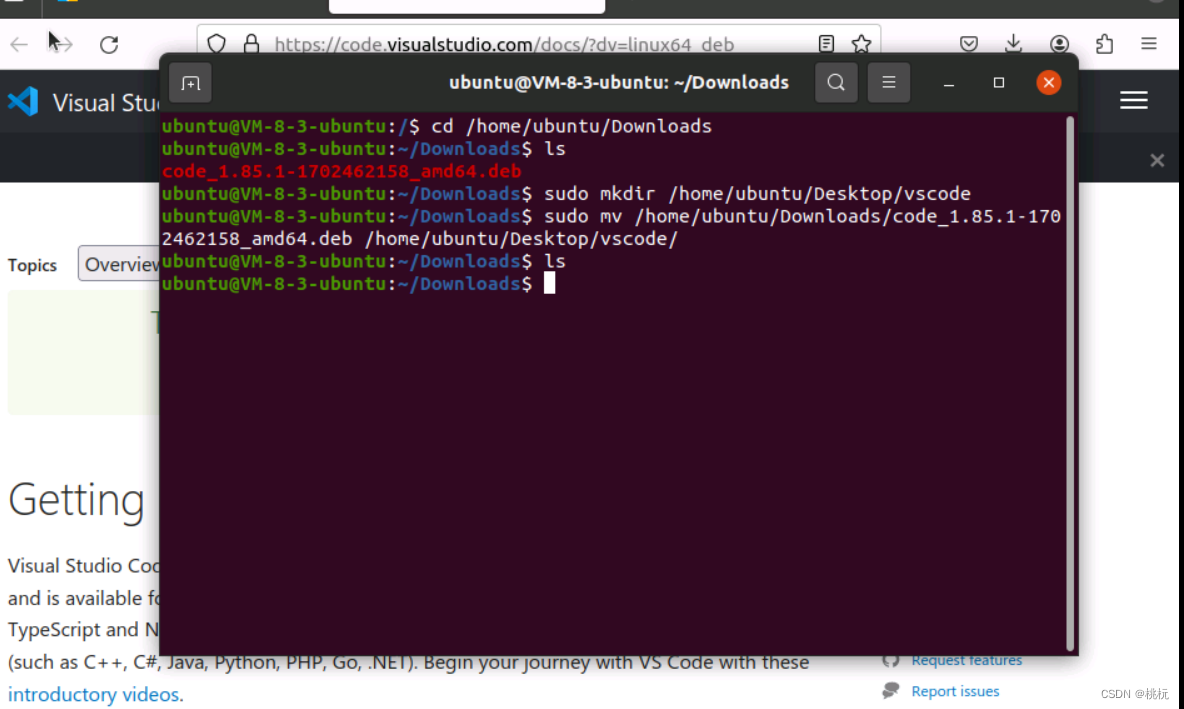 Ubuntu中下载Vscode_ubuntu下载vscode-CSDN博客