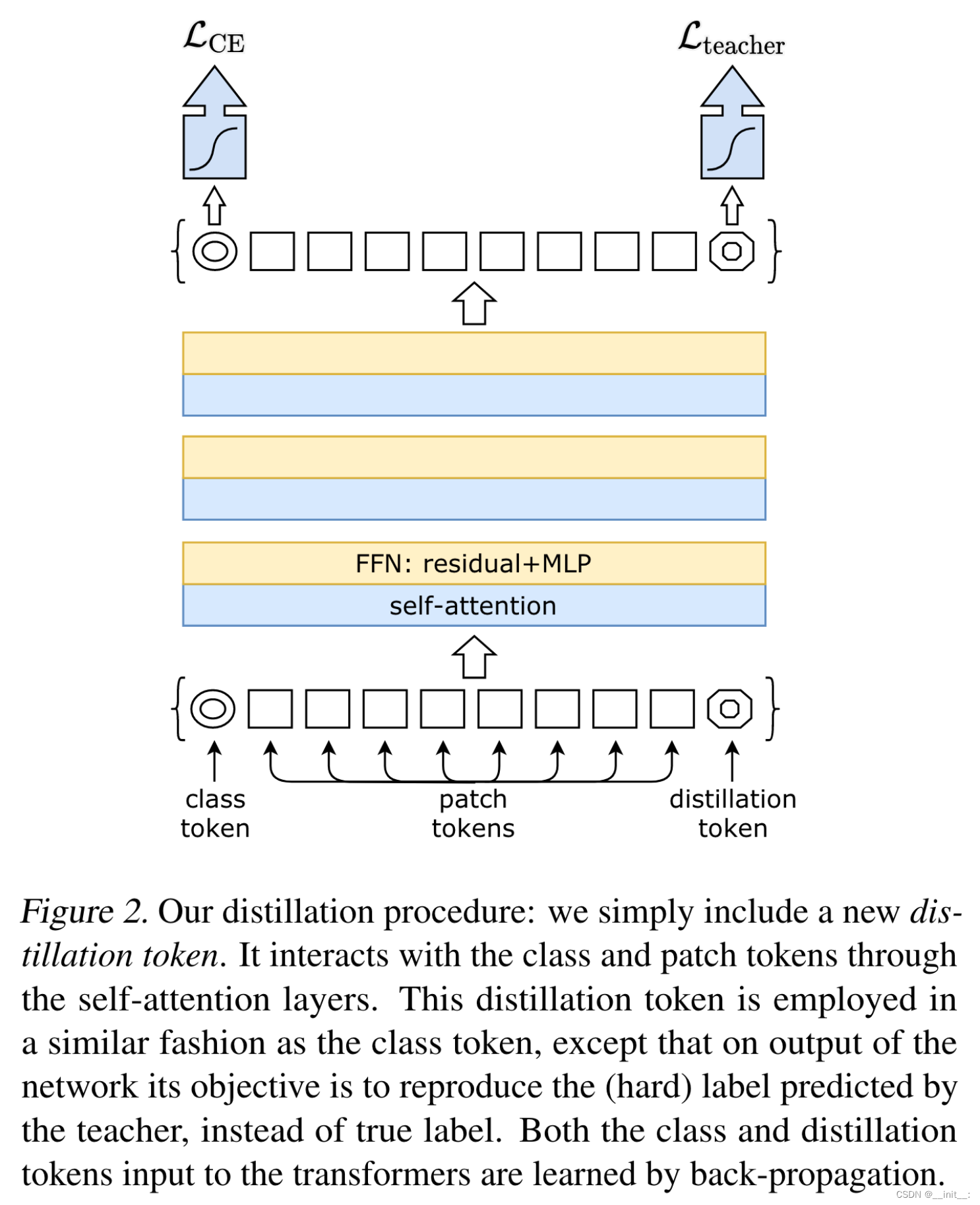 Pre-trained ViT 合集_pretrain vit-CSDN博客